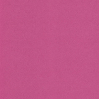Colorplan Fuchsia Pink Paper, Cardstock, Envelopes & Pocket Invitations ...