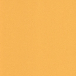 Colorplan Citrine Paper, Cardstock, Envelopes & Pocket Invitations ...