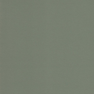 Colorplan Mid Green Paper, Cardstock, Envelopes & Pocket Invitations ...