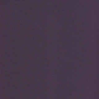 Colorplan Amethyst Paper, Cardstock, Envelopes & Pocket Invitations ...