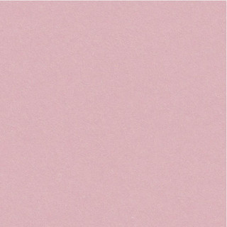 Woodstock Cipria Paper, Cardstock, Envelopes & Pocket Invitations ...