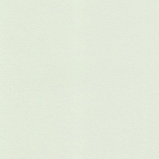 Colorplan Pistachio Paper, Cardstock, Envelopes & Pocket Invitations ...