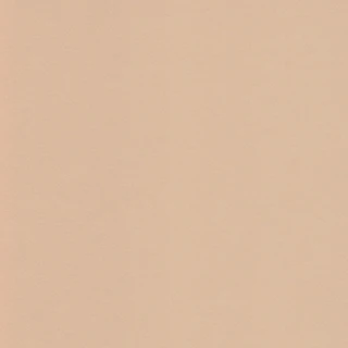 Colorplan Stone Paper, Cardstock, Envelopes & Pocket Invitations ...