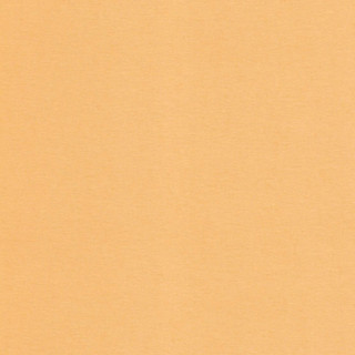 Stardream Amber Paper, Cardstock, Envelopes & Pocket Invitations ...