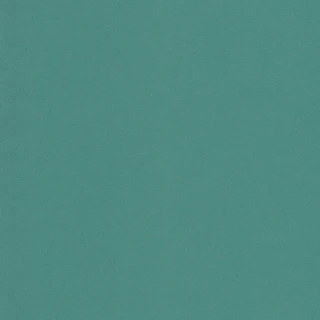 Colorplan Emerald Paper, Cardstock, Envelopes & Pocket Invitations ...