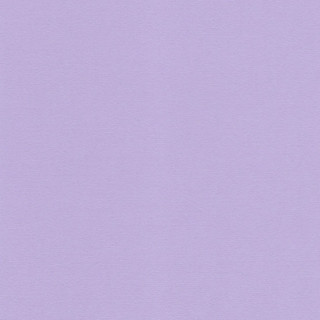 Colorplan Lavender Paper, Cardstock, Envelopes & Pocket Invitations ...