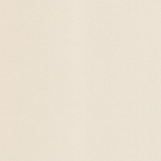 Stardream Opal Paper, Cardstock, Envelopes & Pocket Invitations | Cards ...
