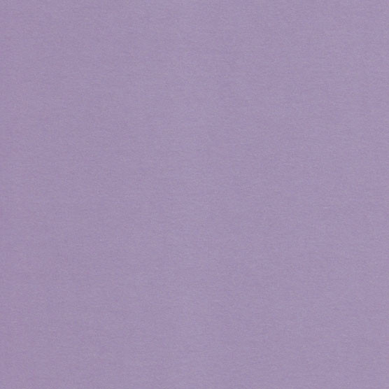 Stardream Light Amethyst Paper, Cardstock, Envelopes & Pocket ...