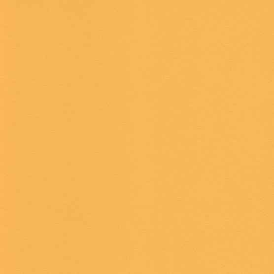 Colorplan Citrine Paper, Cardstock, Envelopes & Pocket Invitations ...