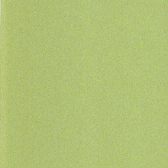 Curious Lime Paper, Cardstock, Envelopes & Pocket Invitations | Cards ...