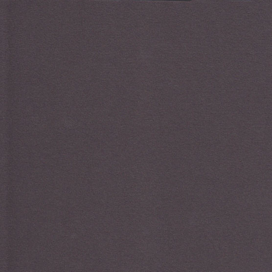 Curious Chocolate Paper, Cardstock, Petals & Pocket Invitations | Cards ...