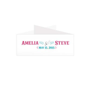 Fiesta - Belly Band - Cards & Pockets