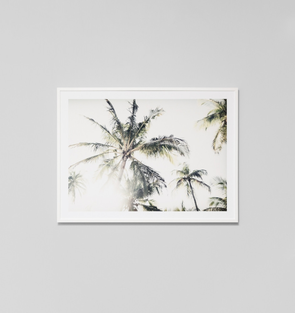 Tropical Escape - matthewthomas.com.au