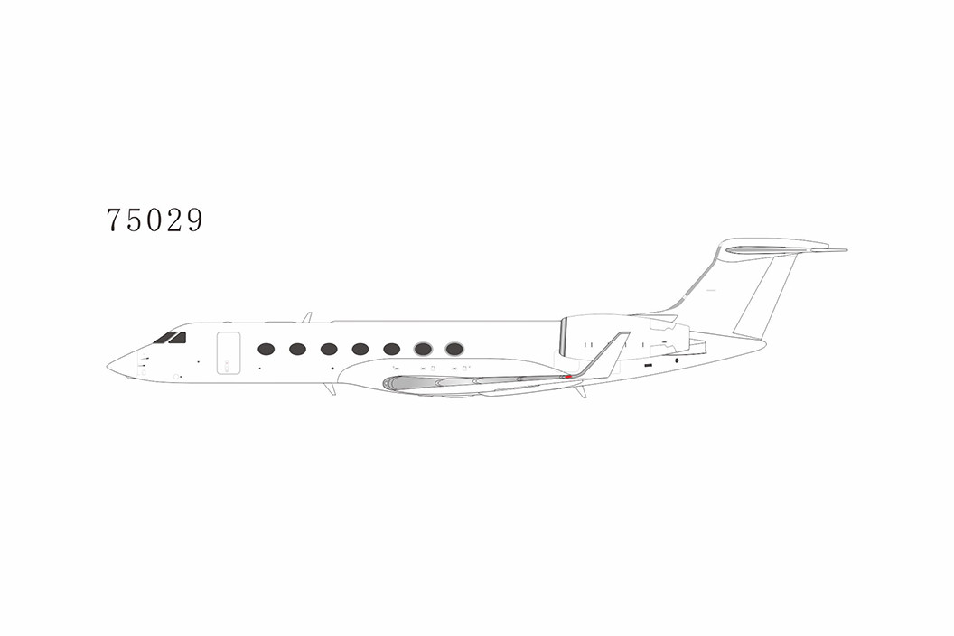 NG Models Blank Gulfstream G550 N/A 75029 1:200