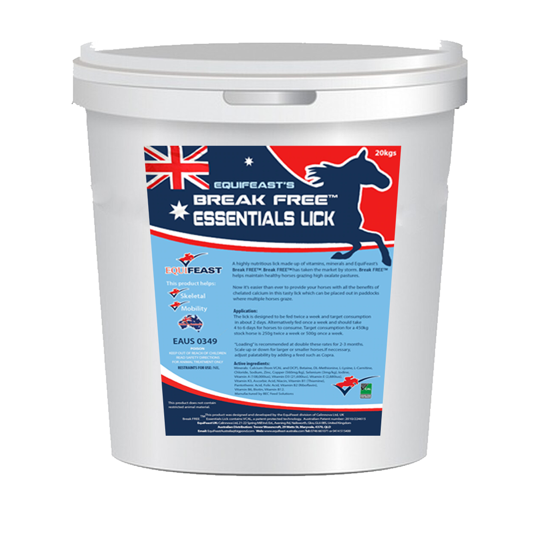 Horse supplements and licks - EquiFeast Australia