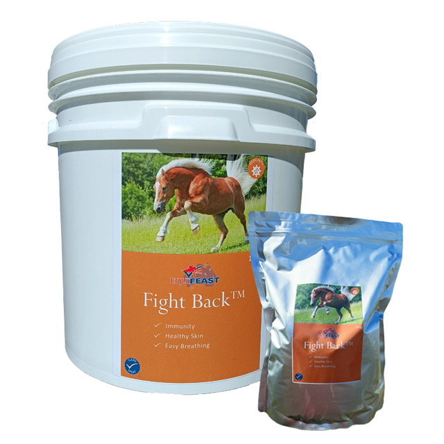 Immune Boosting Supplement for Horses - Fight Back