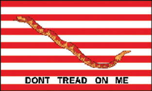 First Navy Jack Flag