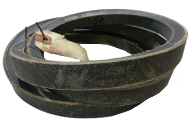 M37 Fan Belt