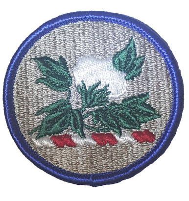 Military Issue Alabama National Guard Class A Patch - Army Surplus ...