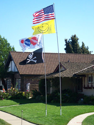 22' Fiberglass DELUXE Telescoping Flag Pole w/ Flag
