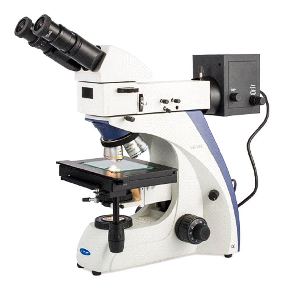 Velab Industrial VE-146 Vertical Metallographic Microscope Advanced