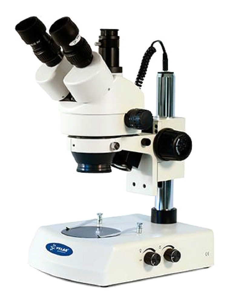 Velab VE-S5 Zoom Stereo Microscope Intermediate