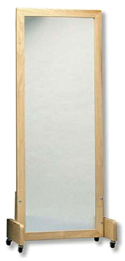 Bailey 700 Adult Posture Mirror with Floor Stand and Casters
