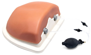 3B Scientific Image Guided Thoracic Spinal Injection Trainer P66