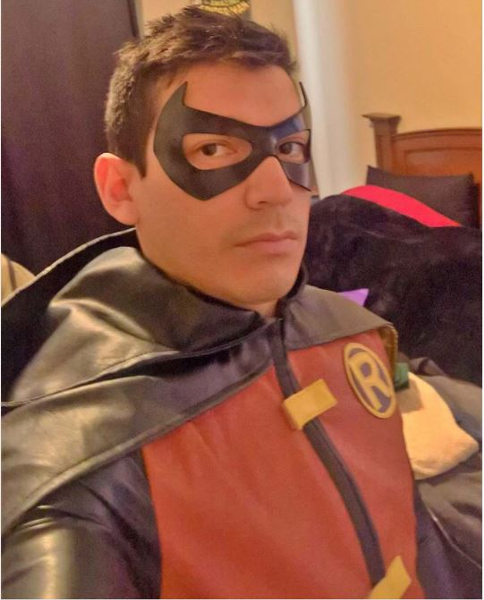Robin Cosplay Mask | Mad Masks