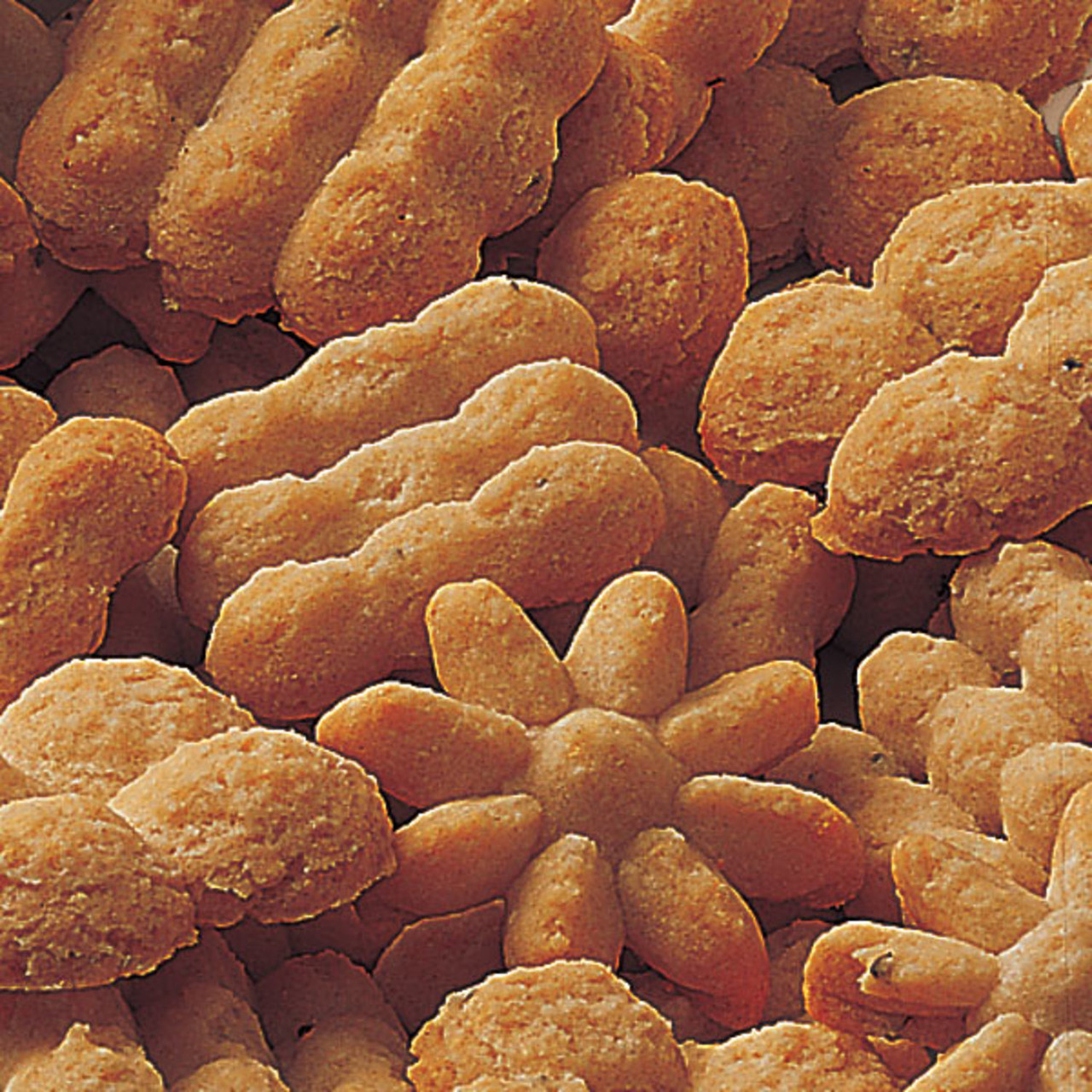 Spicy Pumpkin Spritz Crackers - Wilton