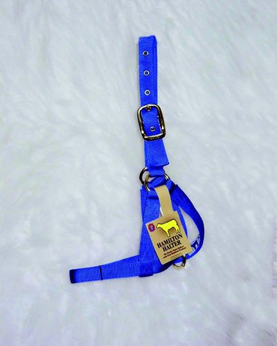 Hamilton Cow Blue Turnout Halter, 1 - CountryMax
