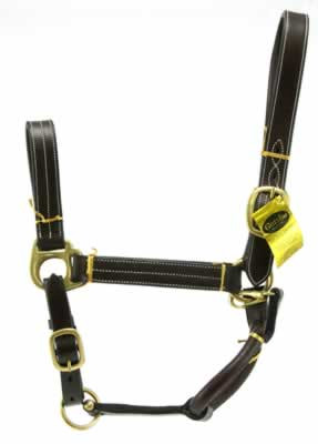 Gatsby Classic Adjustable Halter, Cob - CountryMax