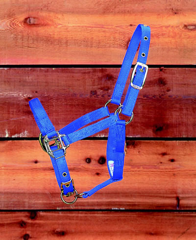 Goat Halter Hamilton Figure 8 - 3/4 Inch Nylon - Adjustable Buckle ...