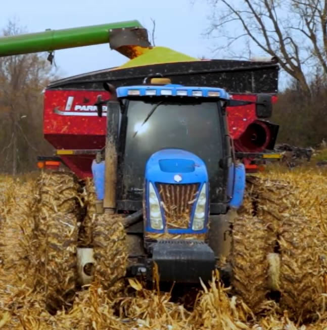 Bulk Whole Corn - CountryMax