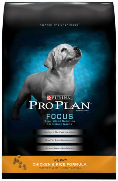 Pro Plan Focus Puppy Chicken & Rice Food, 6 Lb. - CountryMax