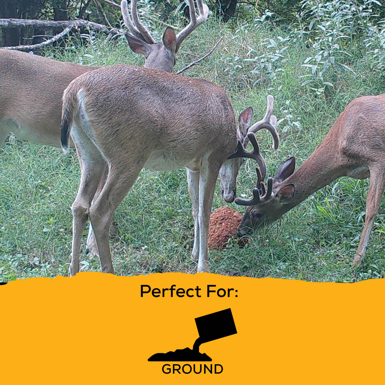 Record Rack® Wildlife Crunch Block 20 lbs. - CountryMax