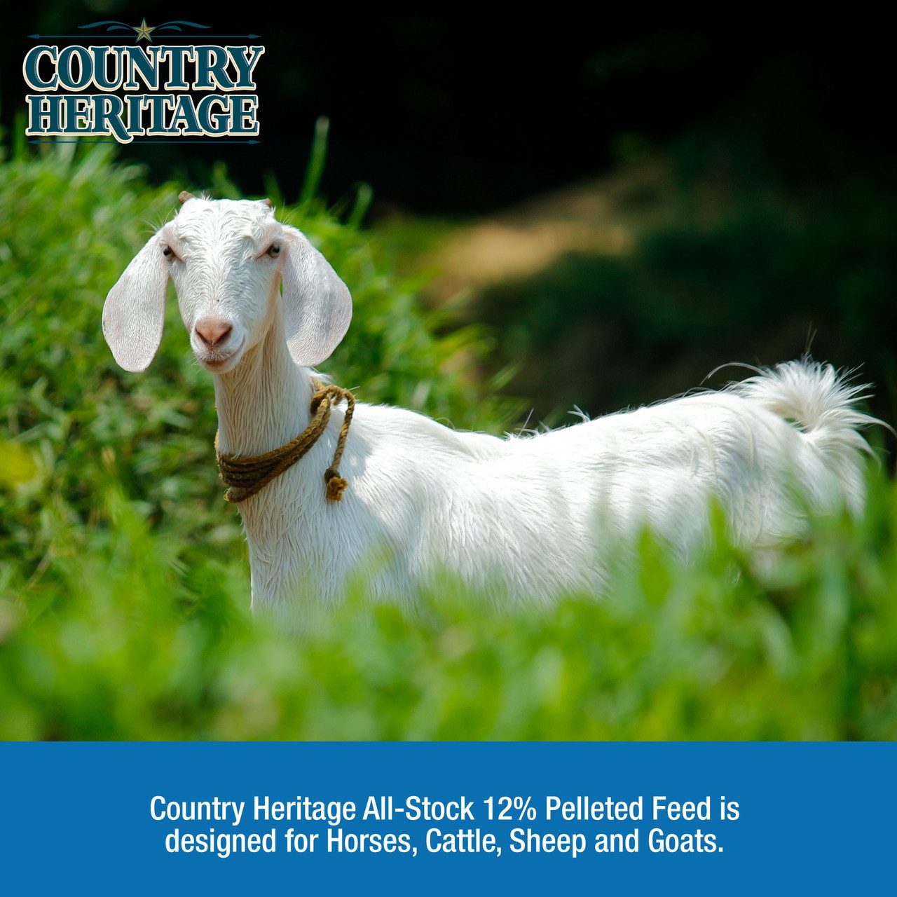 Country Heritage 12% All Stock Textured Feed, 50# - CountryMax