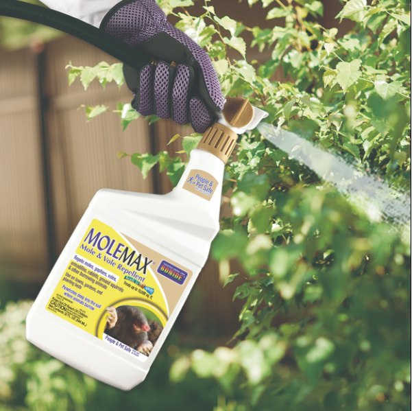 Bonide MoleMax Ready to Use Quart Hose End Spray - CountryMax