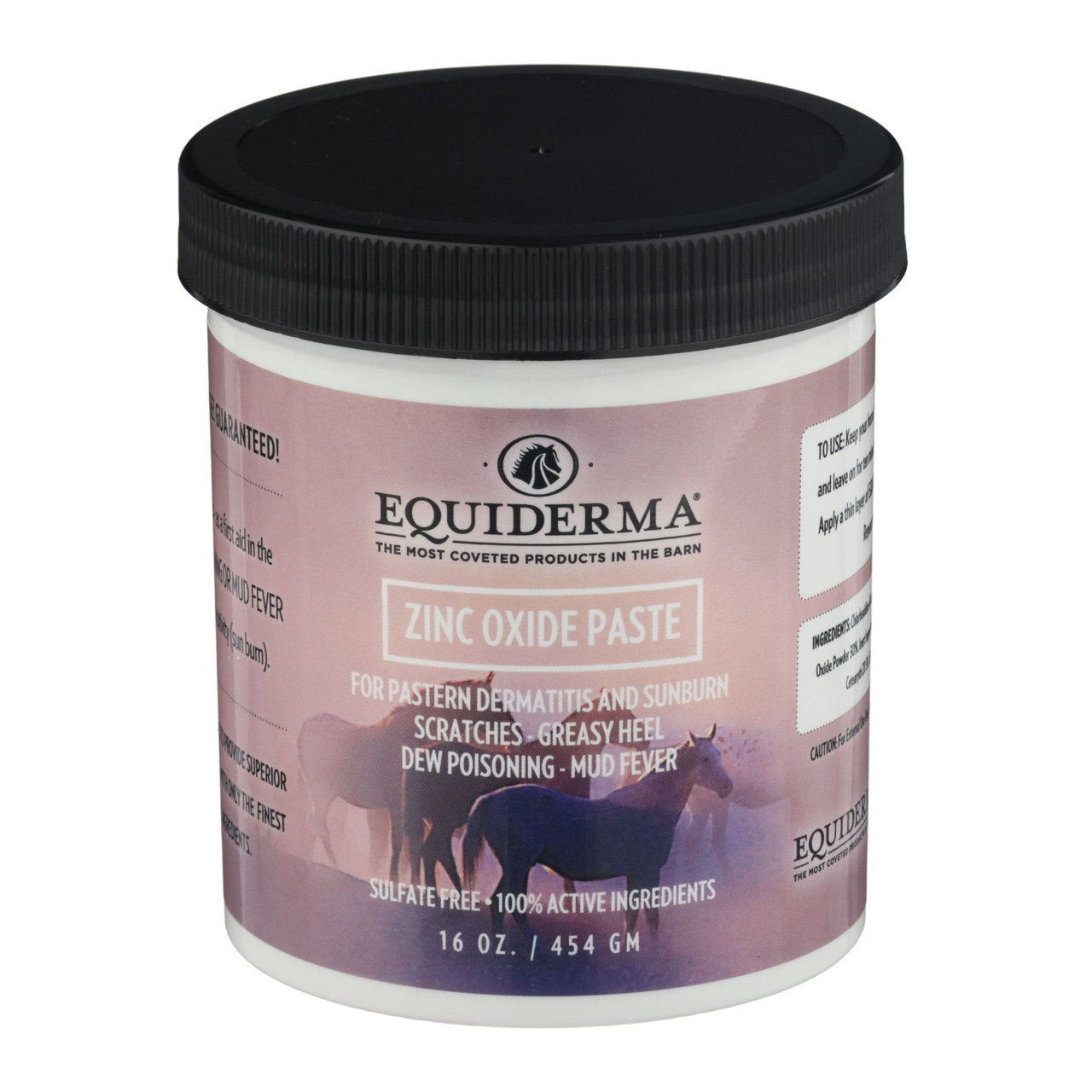 Equiderma Zinc Oxide Paste, 16oz - CountryMax
