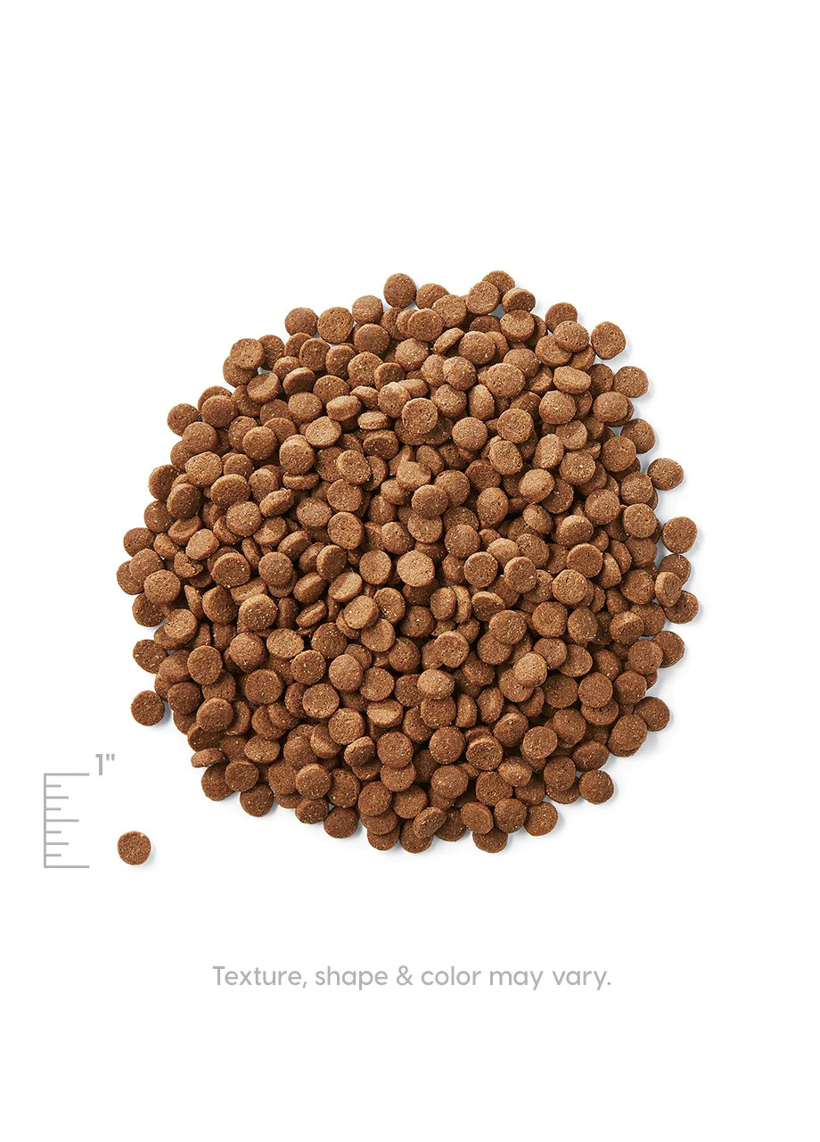 Solid Gold Indigo Moon with Chicken & Eggs Grain-Free High Protein Dry ...