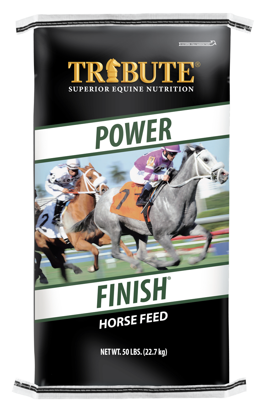Kalmbach Feeds Tribute Power Finish Textured Horse Feed, 50lbs