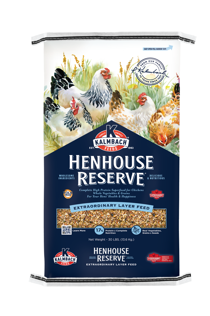 Protein For Chicken Layers