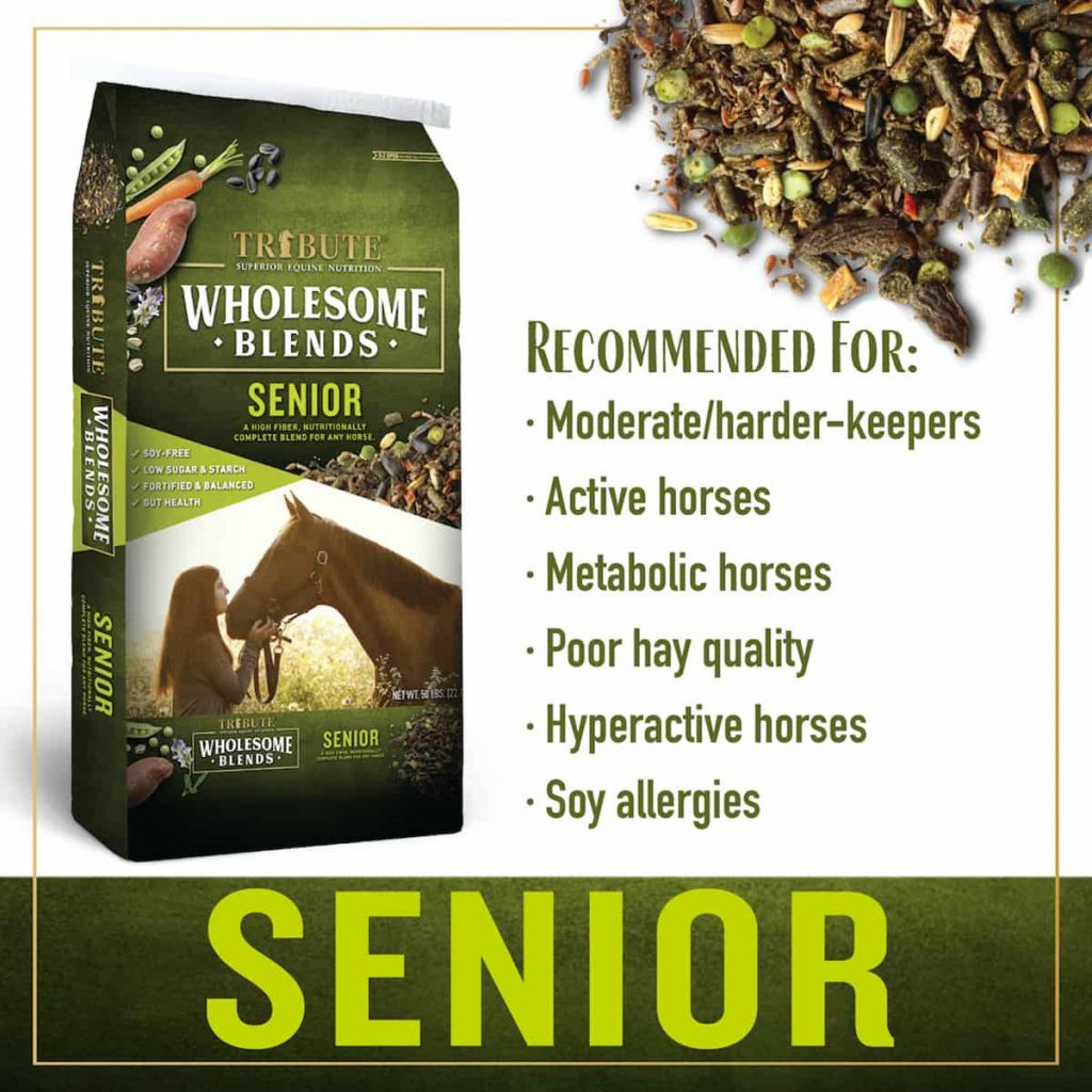 Kalmbach Tribute Wholesome Blends Senior Textured Horse Feed, 50lbs