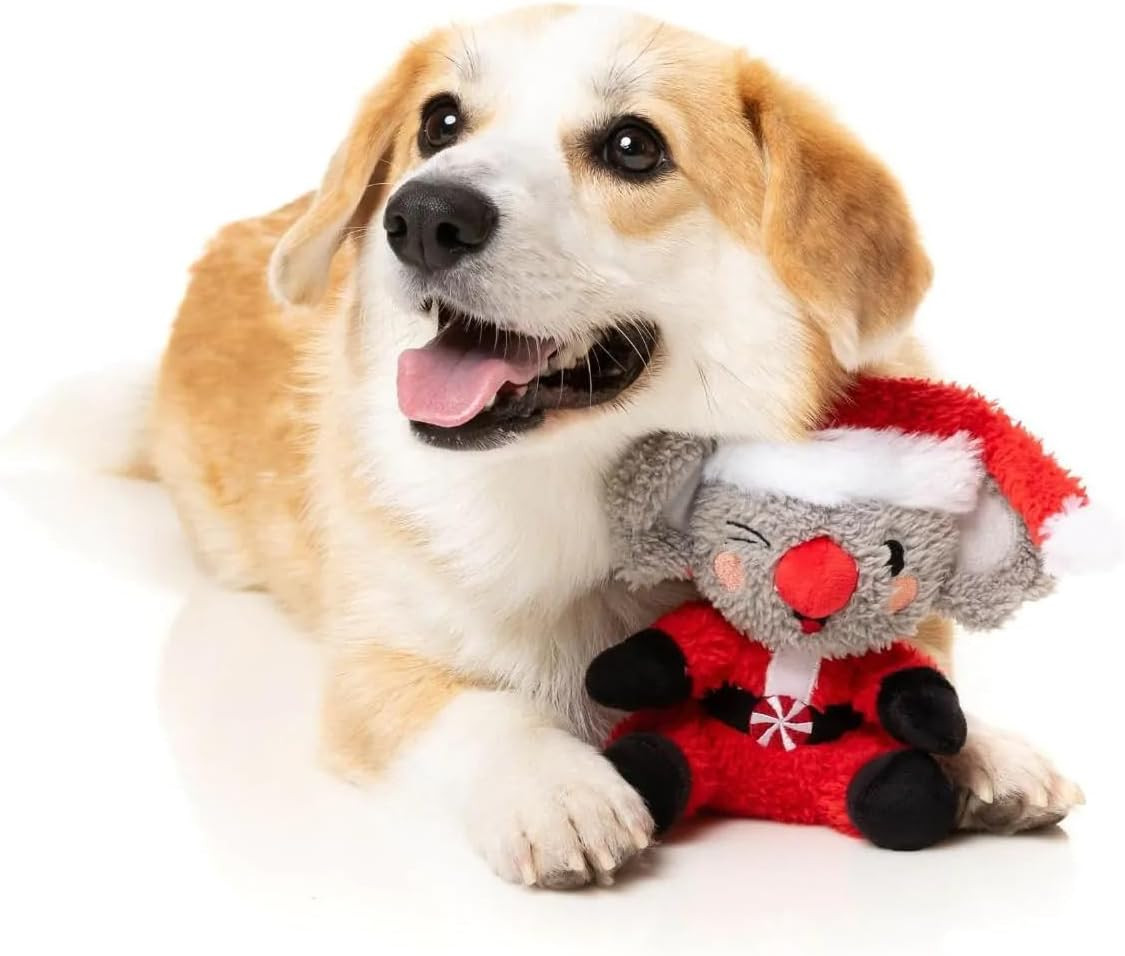 FuzzYard Ko-Ko Koala Dog Toy