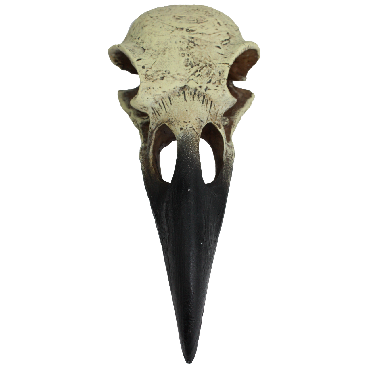 Komodo Raven Skull Reptile Tank Ornament