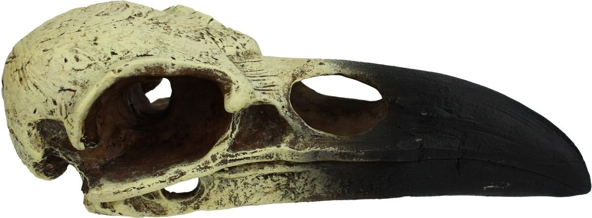 Komodo Raven Skull Reptile Tank Ornament