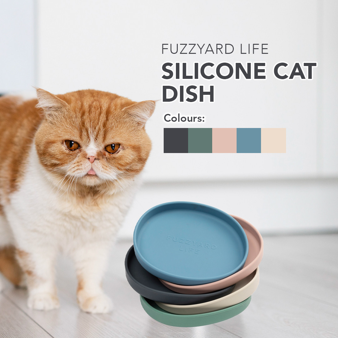 FuzzYard Life Silicone Cat Dish