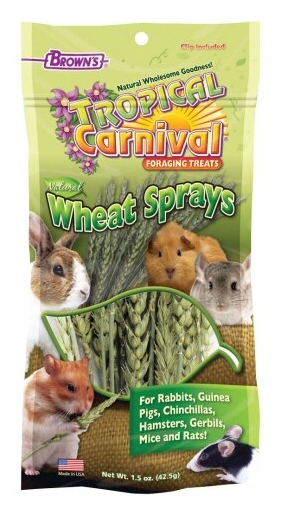 Tropical Carnival Wheat Sprays Foraging Treat