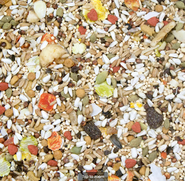 Higgins Safflower Gold Conure/Cockatiel 3lb