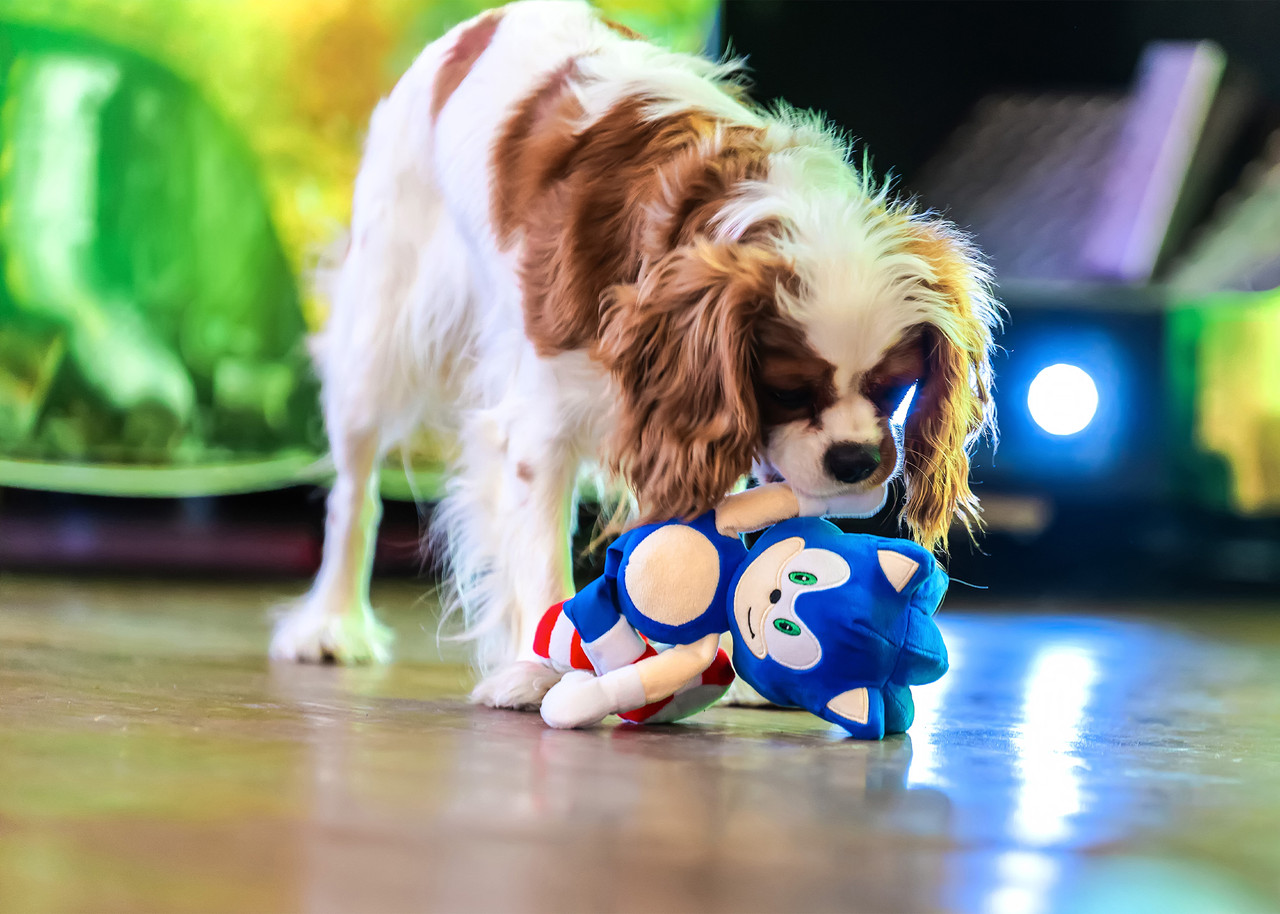 Multipet Sonic the Hedgehog 10" Plush Dog Toy